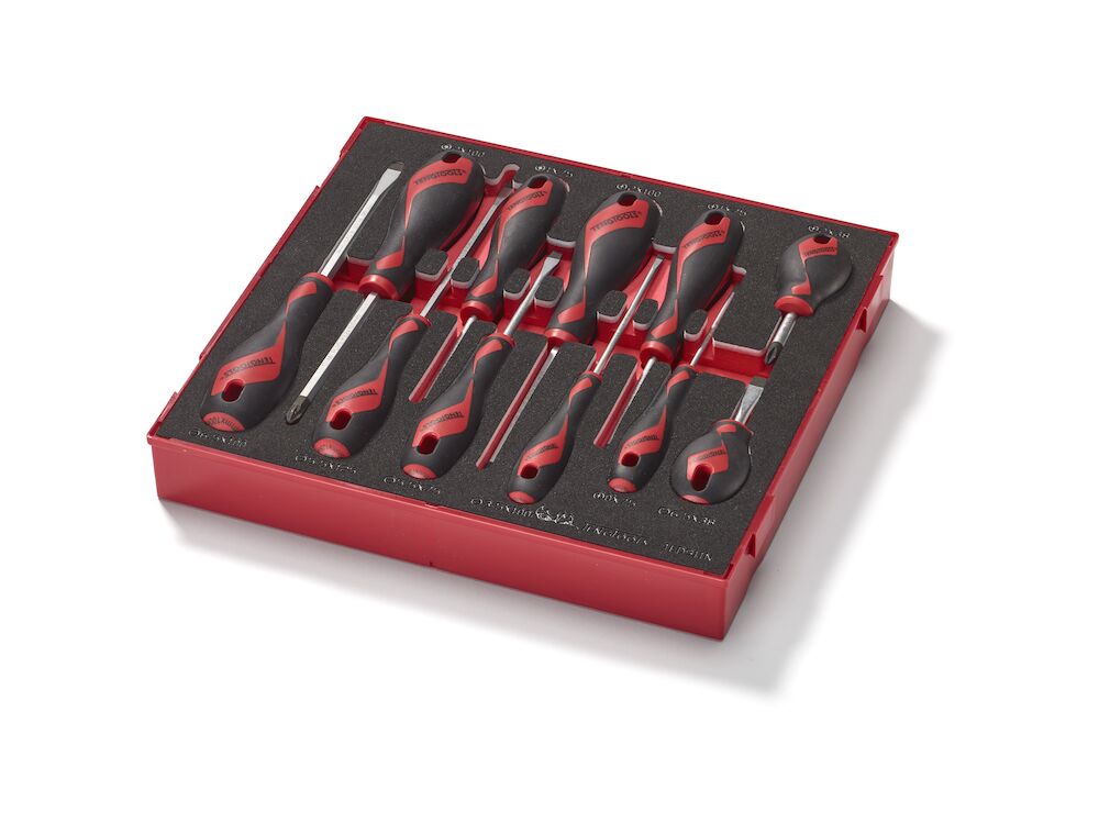 Screwdriver Set Mixed FOAM2 11 Pieces | TengTools